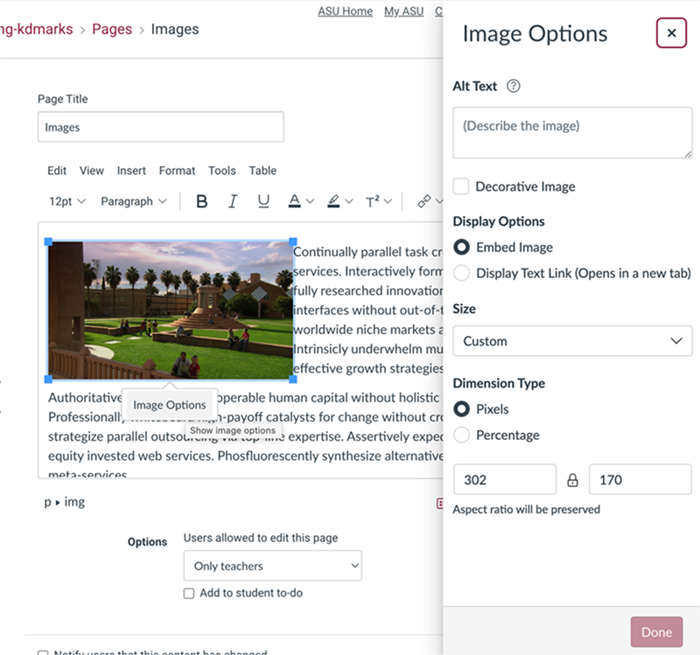 Accessible images: alternative text guidelines | ASU Accessibility