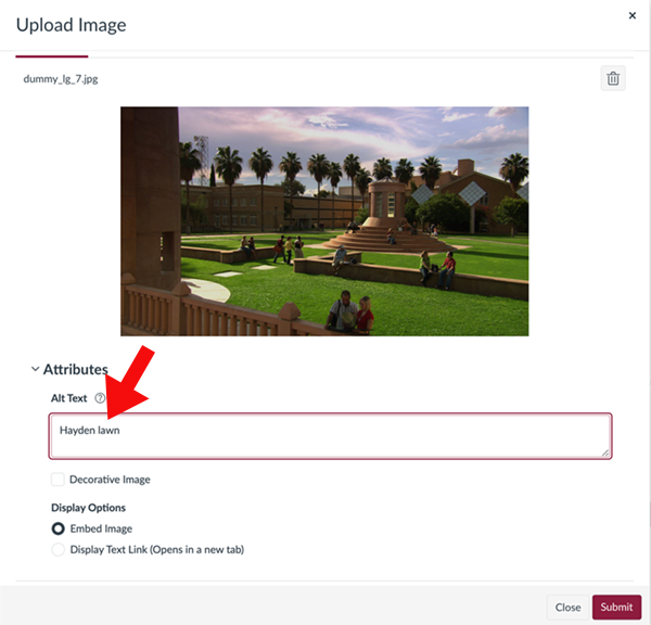 Accessible images: alternative text guidelines | ASU Accessibility